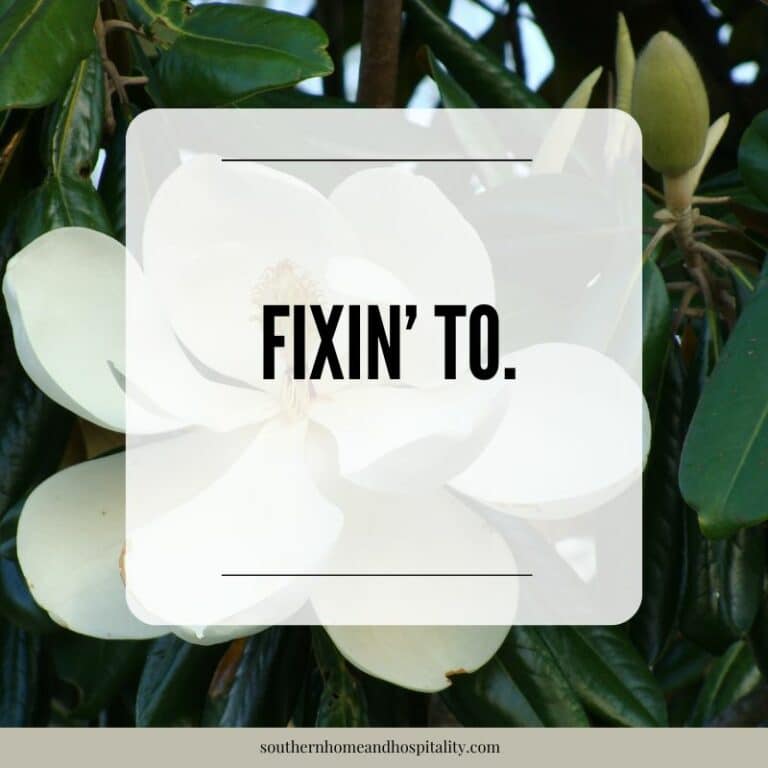 120 Best Southern Sayings That'll Charm Your Britches Off