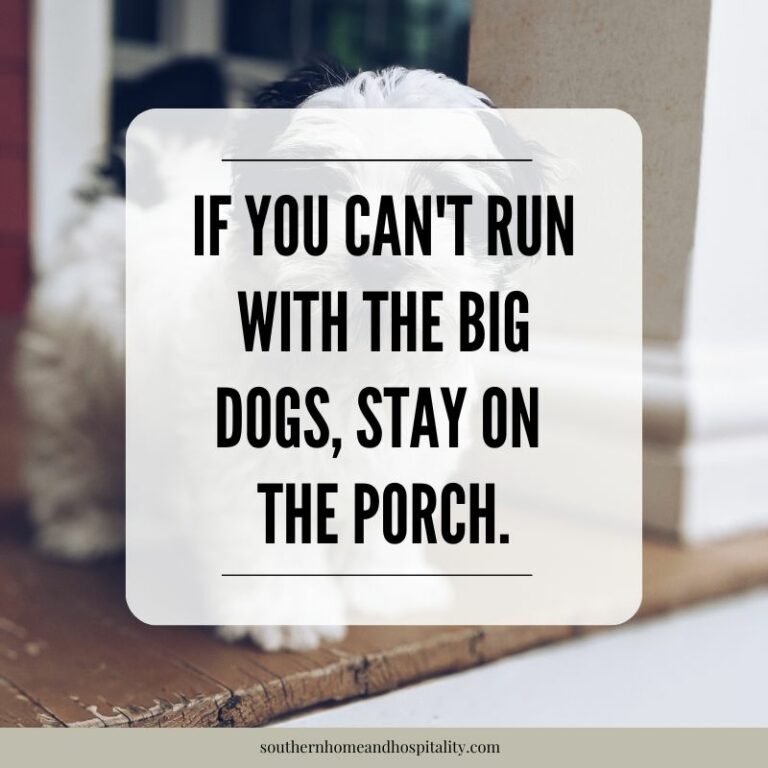 120 Best Southern Sayings That'll Charm Your Britches Off