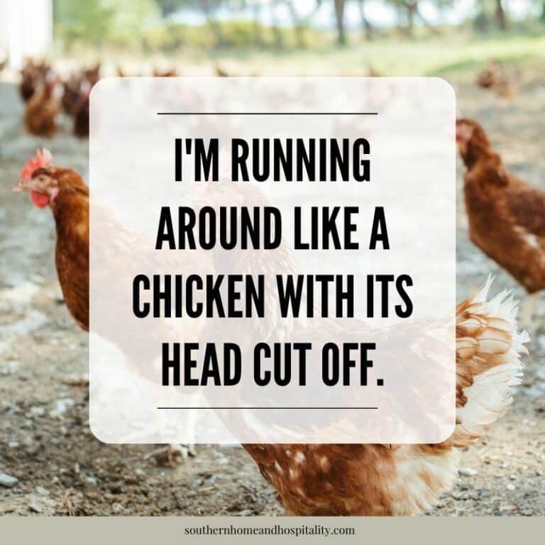 120 Best Southern Sayings That'll Charm Your Britches Off