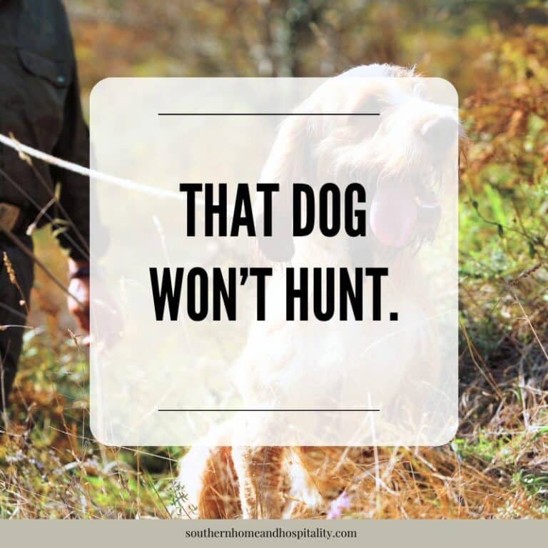 120 Best Southern Sayings That'll Charm Your Britches Off